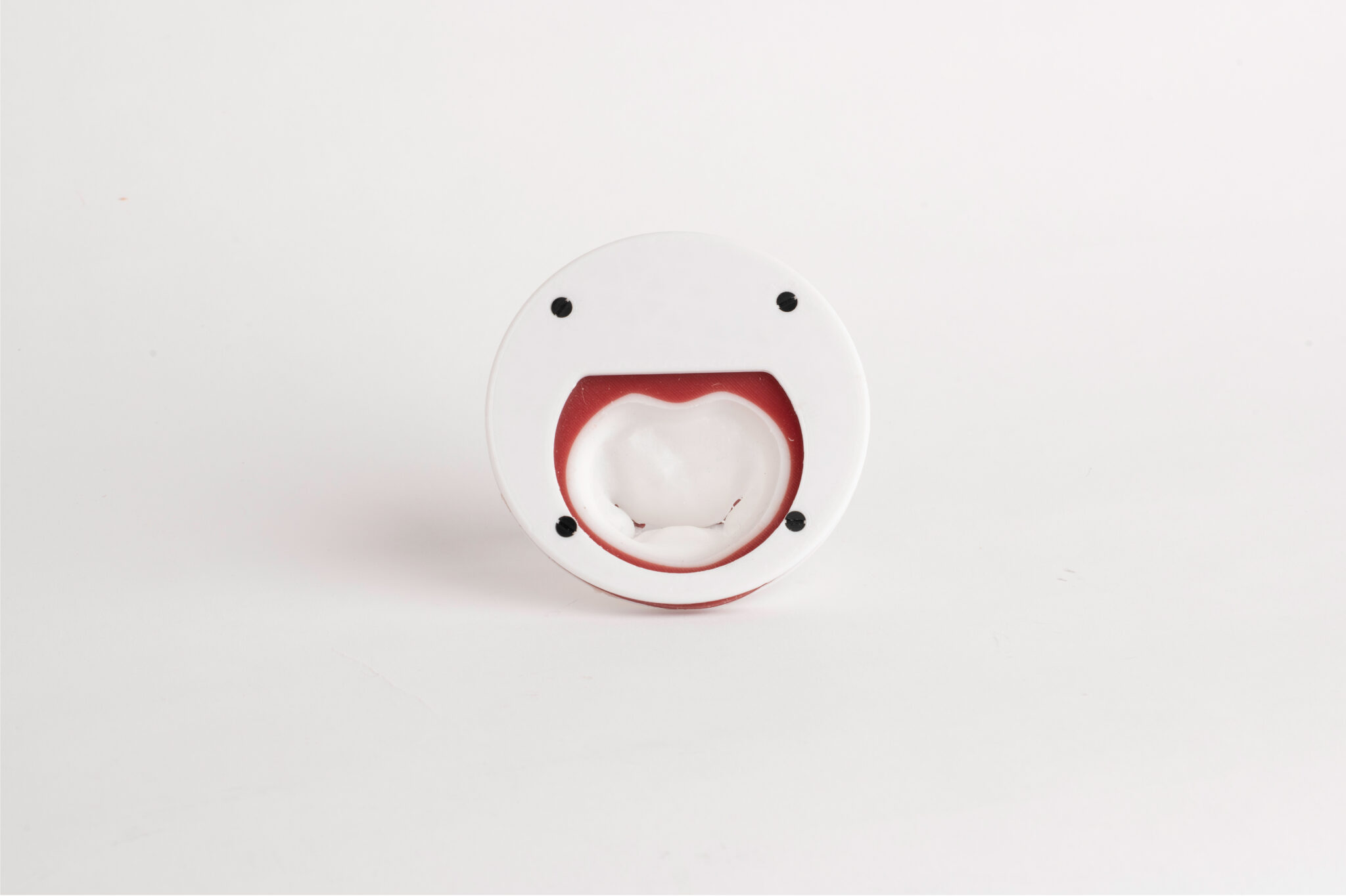 Healthy Mitral Valve - The CarmoSIM™ ADVANCED - Archetype BioMedical